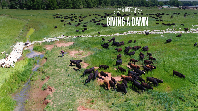 White Oak Pastures Since 1866, Grassfed Beef and Pastured Poultry