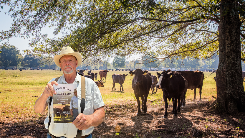White Oak Pastures Since 1866, Grassfed Beef and Pastured Poultry