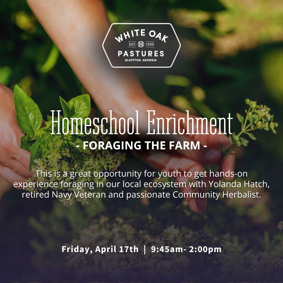 Foraging the Farm Enrichment Day – White Oak Pastures