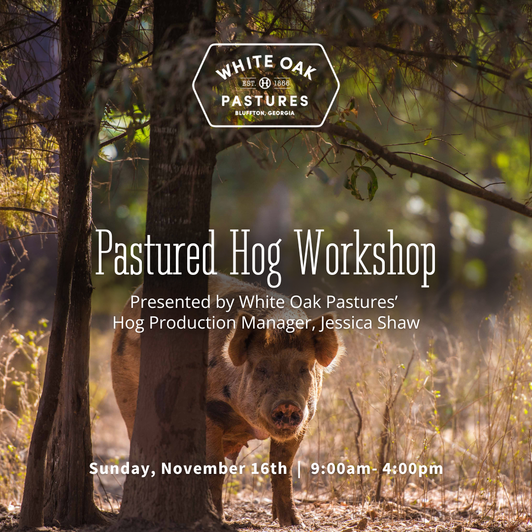 Pastured Hog Workshop – White Oak Pastures