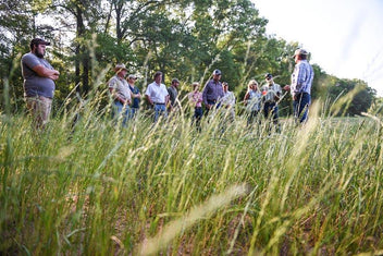 White Oak Pastures Since 1866, Grassfed Beef and Pastured Poultry