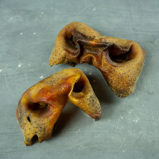 Dehydrated Grassfed Beef Nose Pet Chew – White Oak Pastures