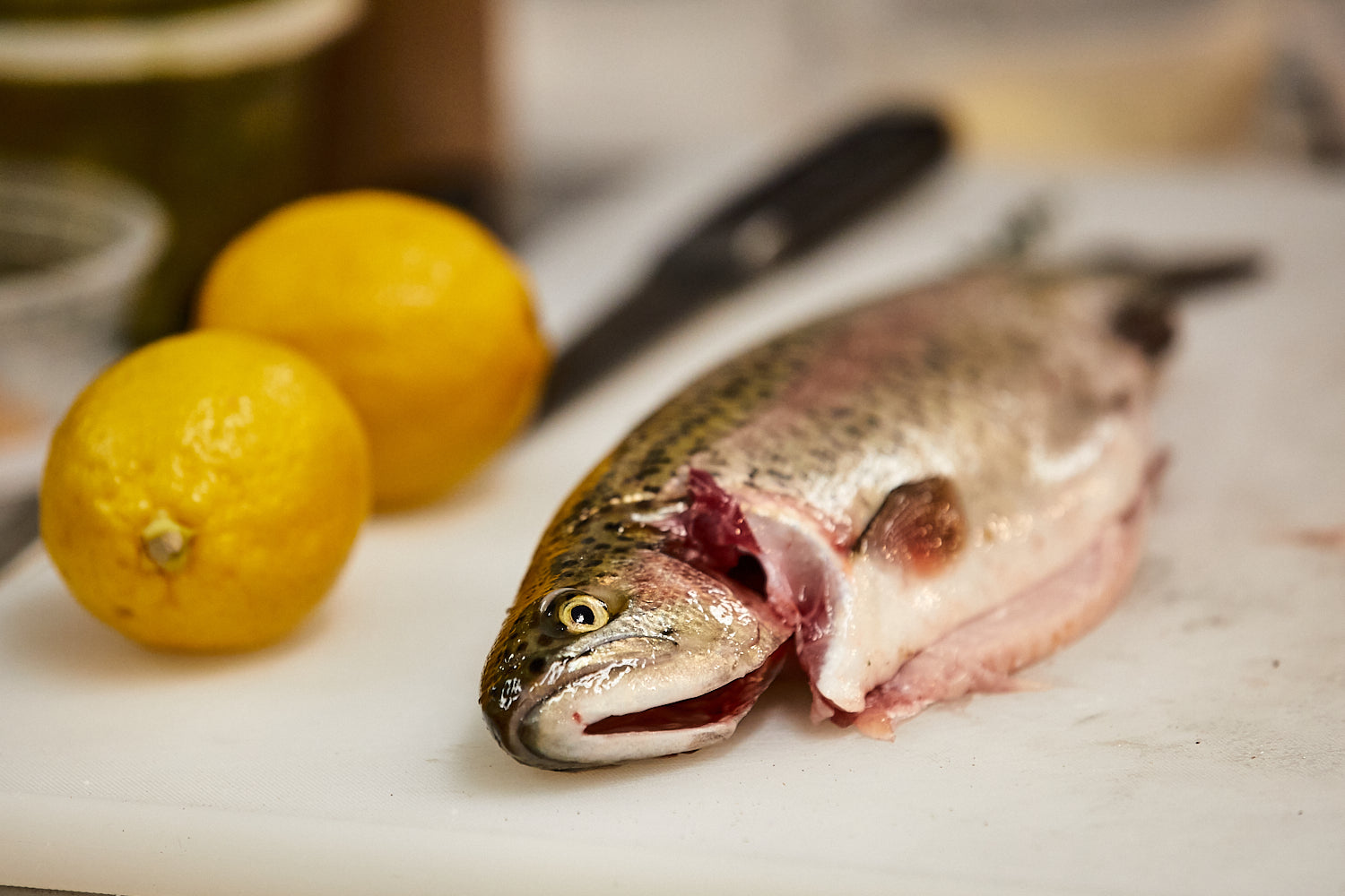 Spring Raised Rainbow Trout – White Oak Pastures